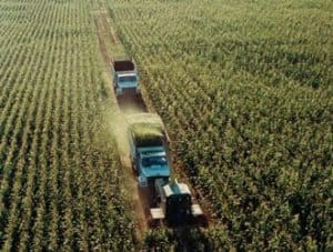 Braum’s Ice Cream & Dairy Store | Braum's