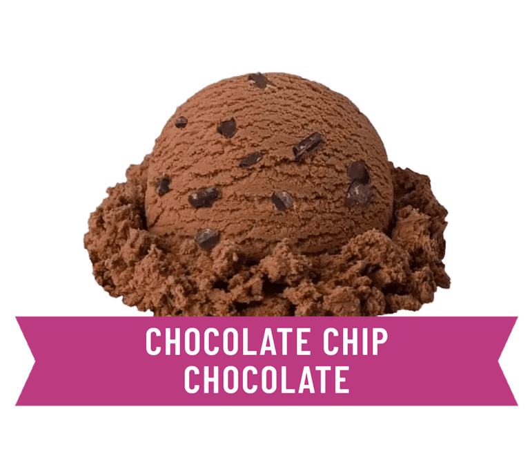 Premium Chocolate Chip Chocolate | Braum's